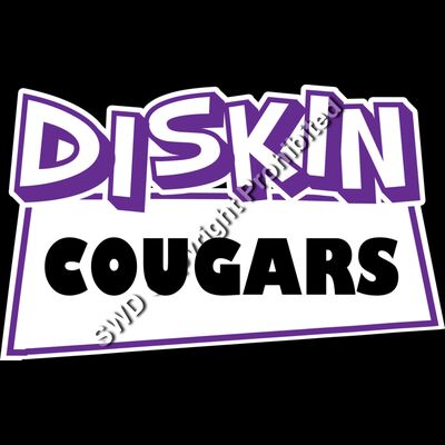 HOME Diskin Elementary Spiritwear