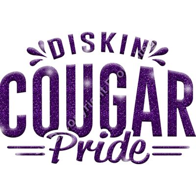 HOME Diskin Elementary Spiritwear